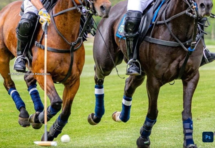 Mastering the Mallet Grip: A Key Element in Polo Performance – Open Polo